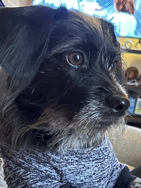 Lenny's Life Lessons | San Saba News & Star