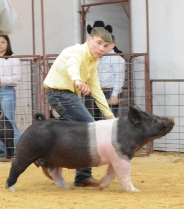 San Saba County Livestock Show Photos | San Saba News & Star